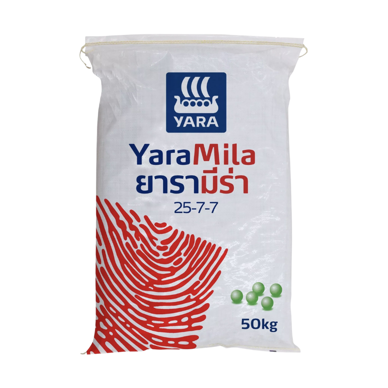 25-7-7 ยารา - ร้านแหลมทอง3